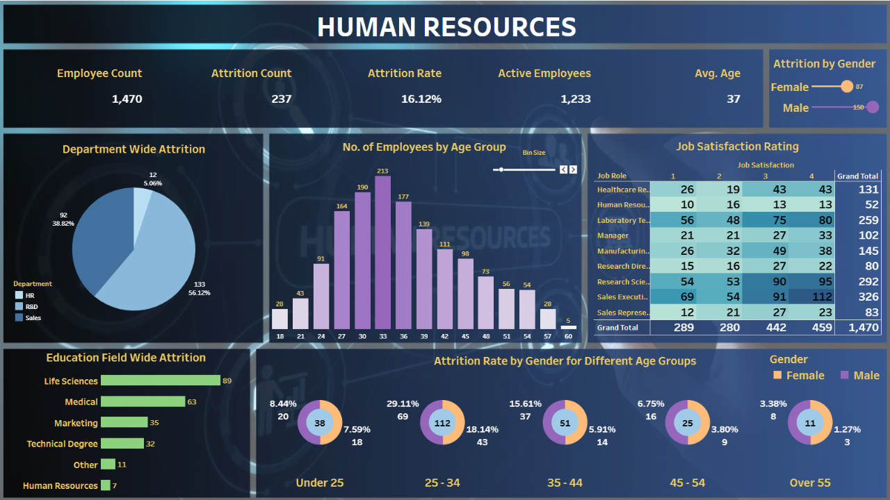 David O'Brien Portfolio